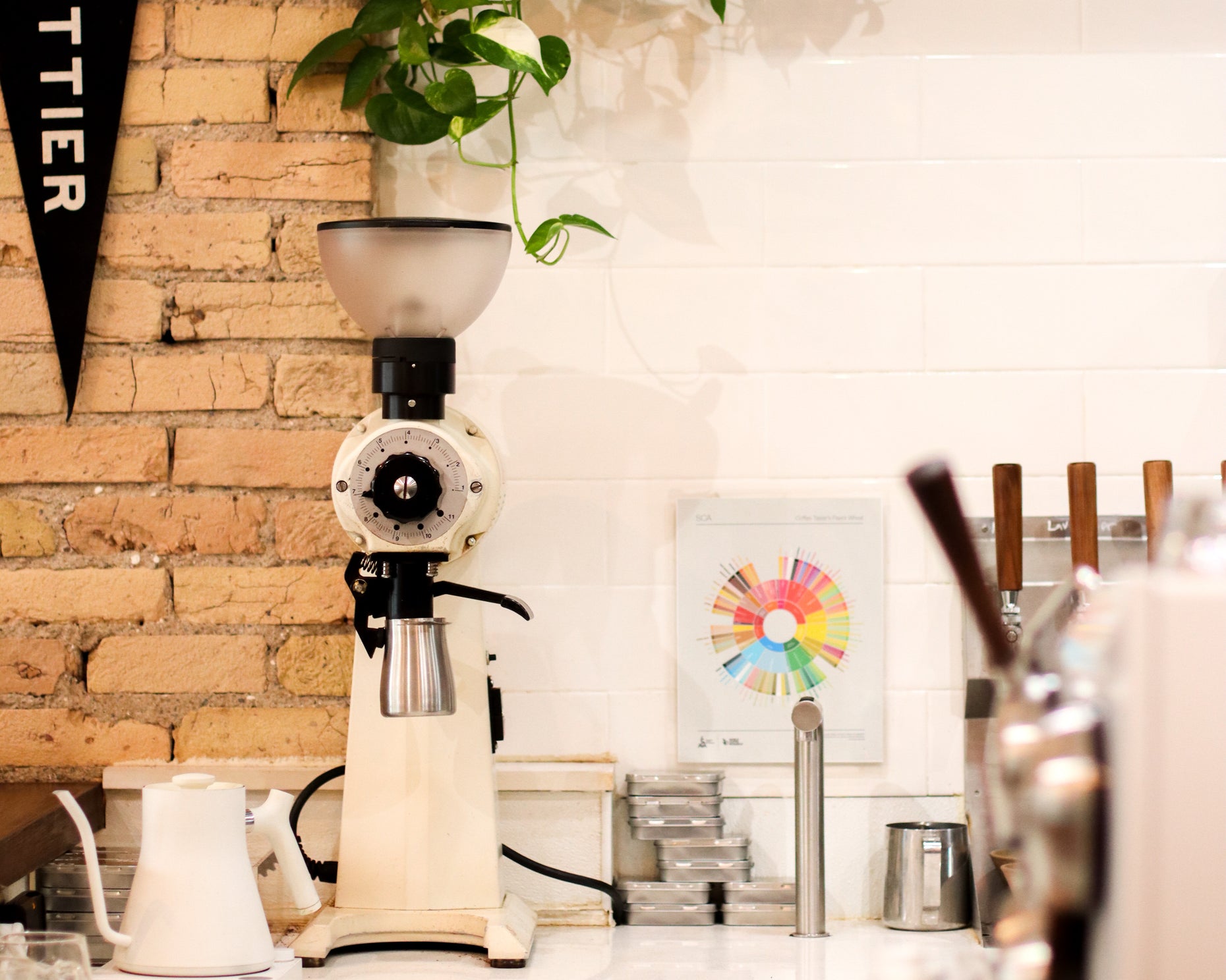 Wesley Andrews. – Wesley Andrews CC