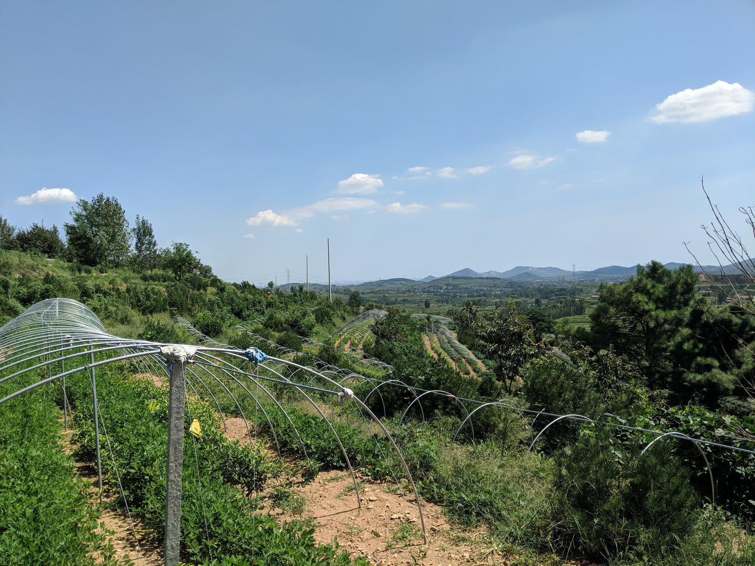 Wesley Andrews. – Wesley Andrews CC